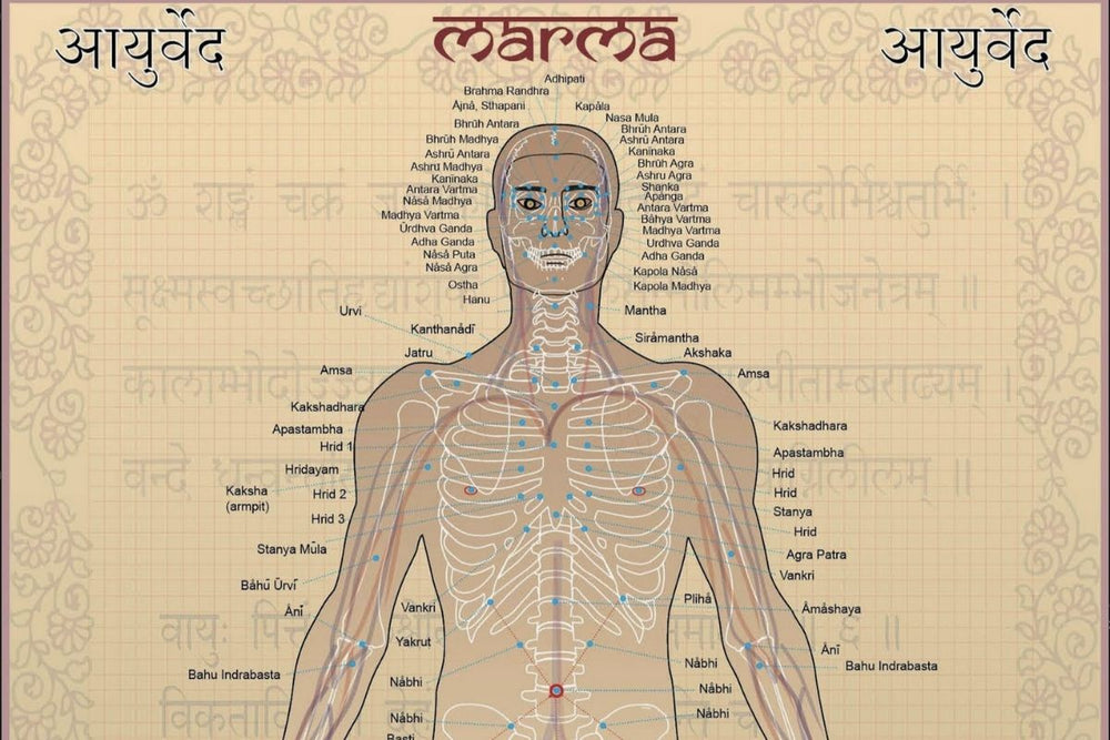 Unlocking Vital Energy: The Power of Marma Points in Ayurveda – Ayurda