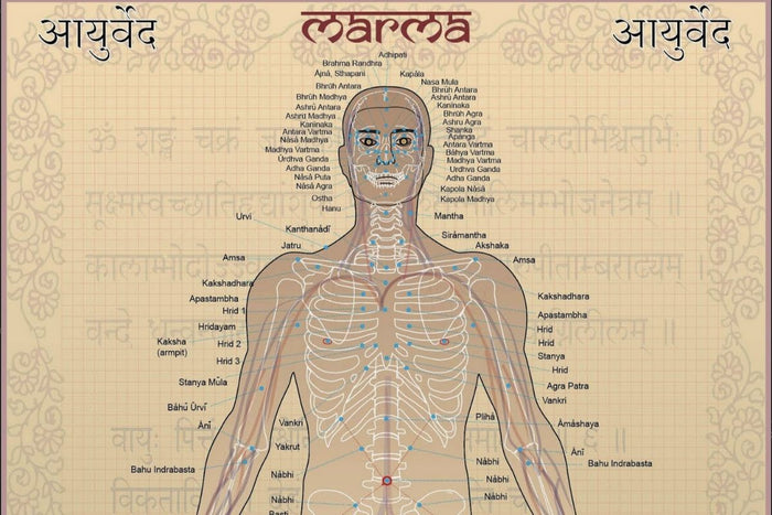Unlocking Vital Energy: The Power of Marma Points in Ayurveda – Ayurda